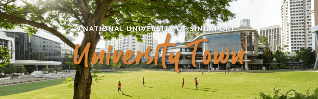 IOI 2021 Tasks – IOI 2021 Singapore